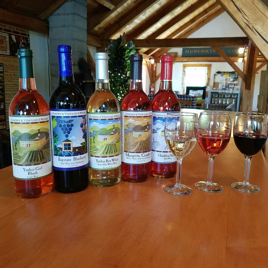 12 Best New England Wineries for Fall/Winter 2022 - Taste of Massachusetts